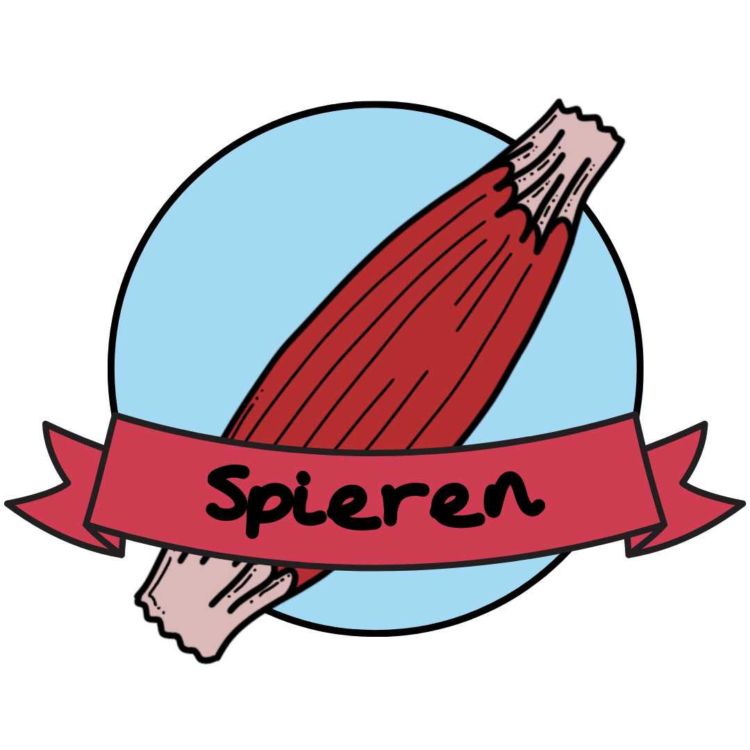 Landing Bewegingsstelsel – JufDanielle Academie