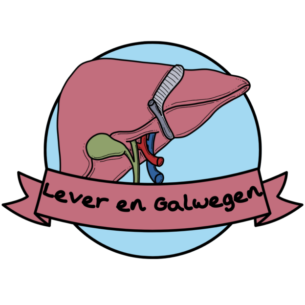 Landing Spijsverteringsstelsel – JufDanielle Academie