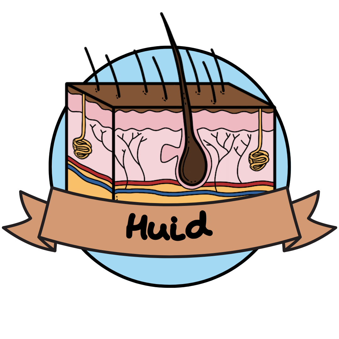 Landing Huid – JufDanielle Academie