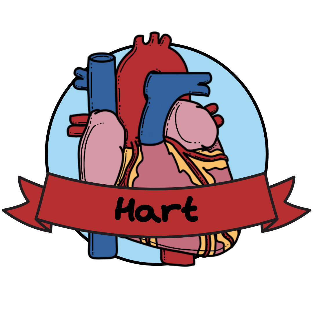 Landing Hart en Vaatstelsel – Juf Danielle Academie