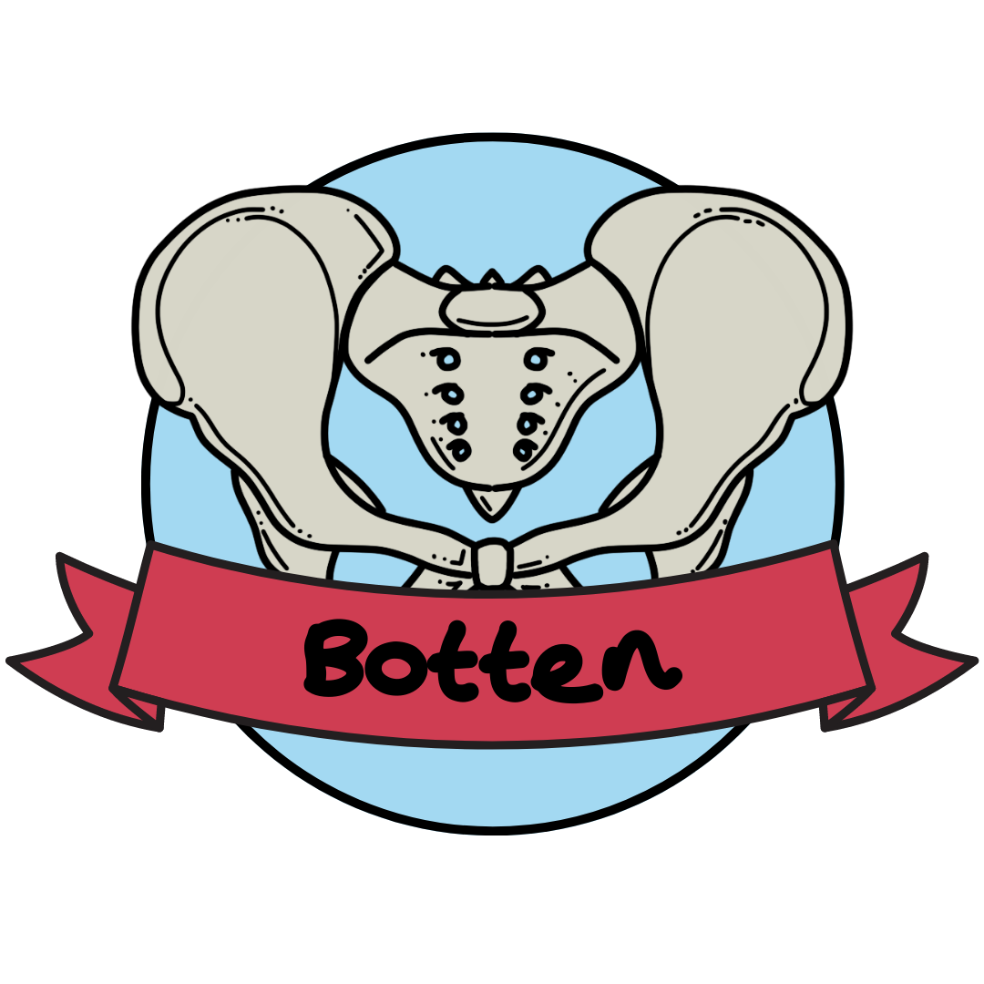 Landing Bewegingsstelsel – JufDanielle Academie