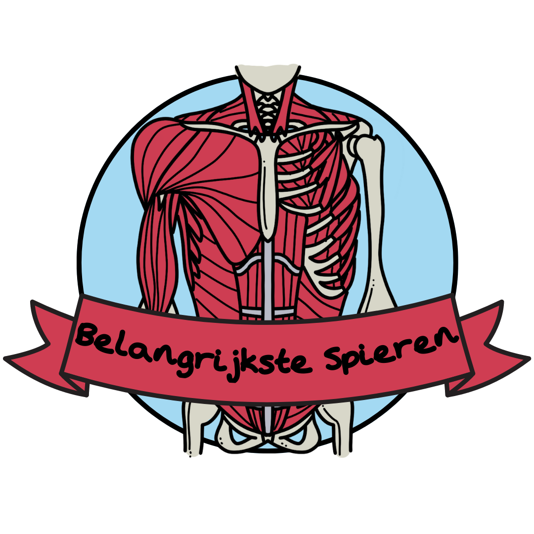 Landing Bewegingsstelsel – JufDanielle Academie