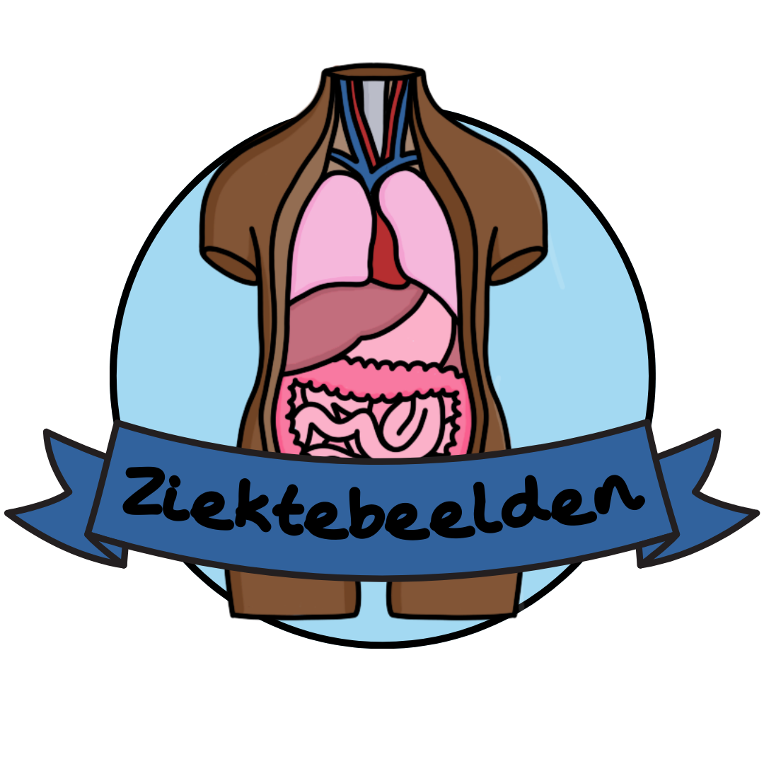 Landing Algemene Kennis – JufDanielle Academie